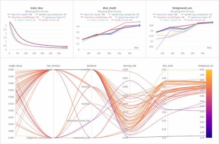 MLOps for Computer Vision - Weights & Biases