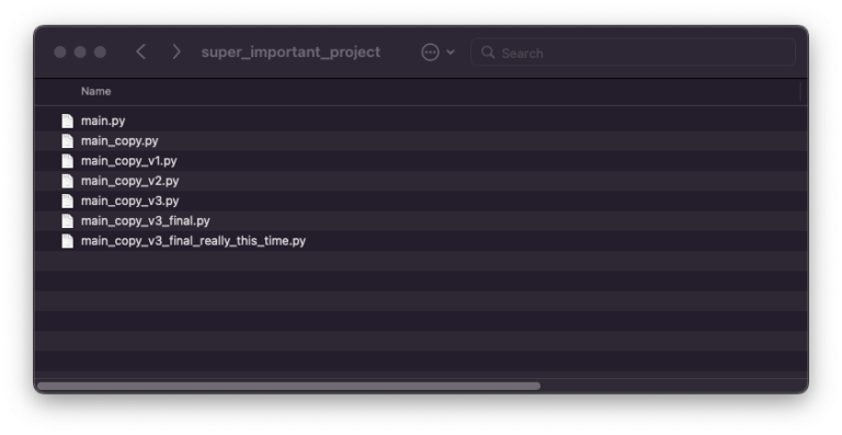 Intro to MLOps: Data and Model Versioning - Weights & Biases